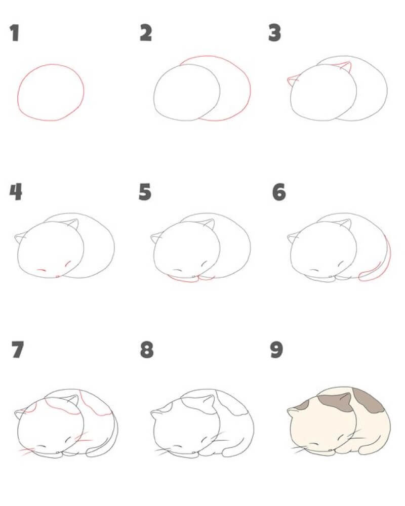 How To Draw A Black Cat Step By Step Drawing Photos
