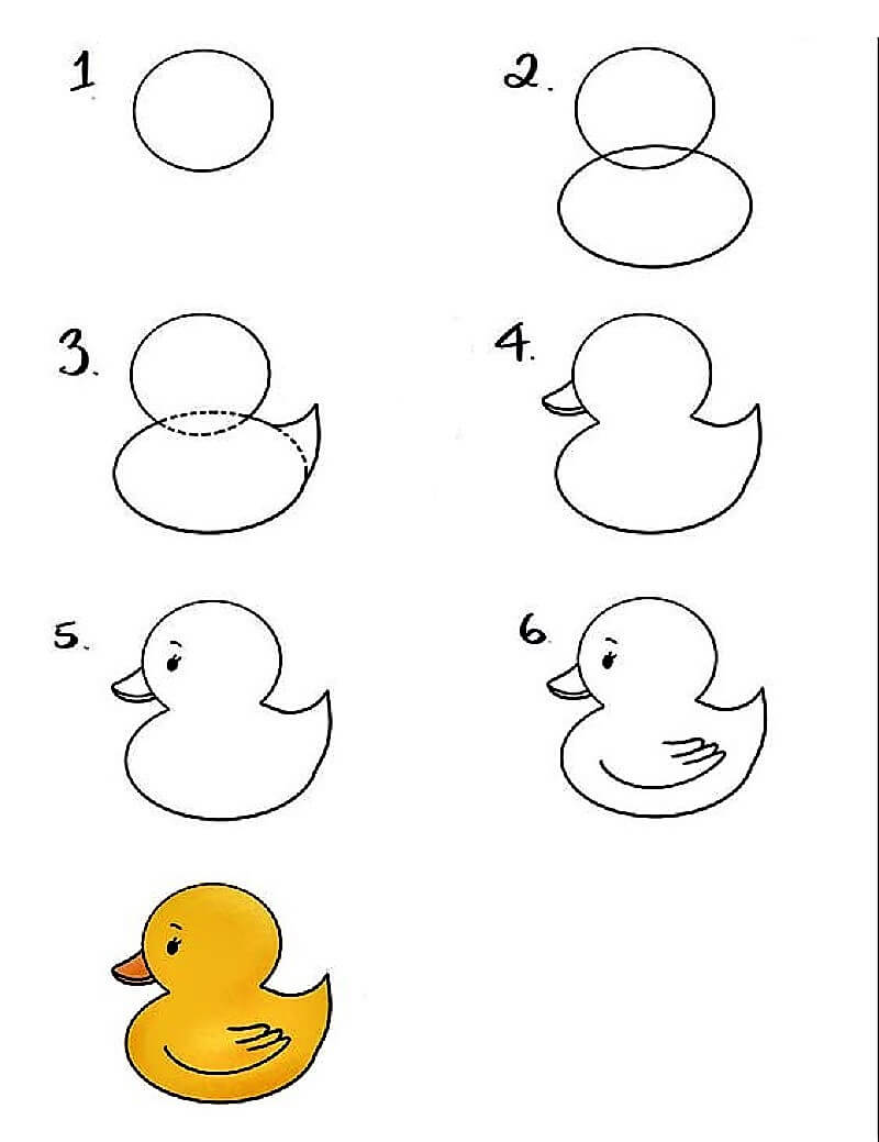 How To Draw Duck Sketch Step By Step Drawing Photos