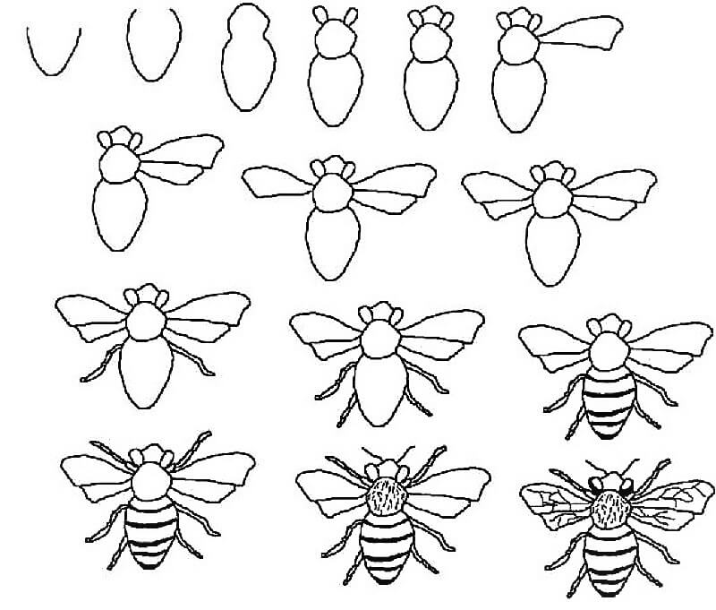 How To Draw The Cutiest Bee Step By Step Drawing Photos